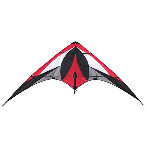 WDK Partner – AS1120 – Kite 160 x 80 cm – 2 handles – TopToy