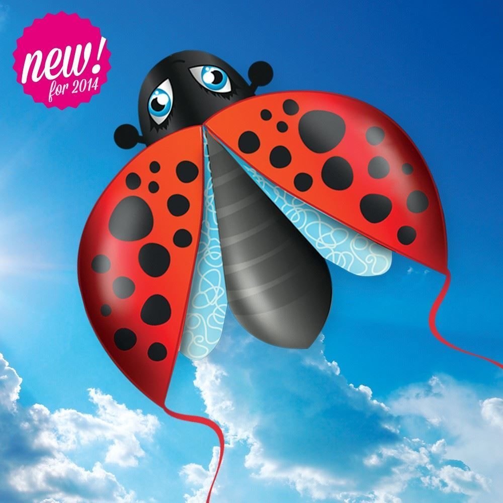 Eolo Sports 110610-002 Pop up Mini Lady Bug Kite – TopToy