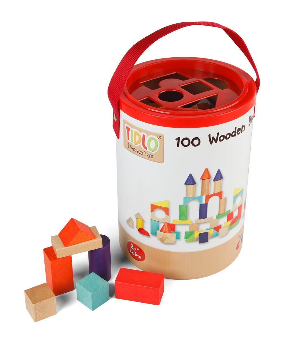 Tidlo Wooden Building Blocks (100 Pieces) – TopToy