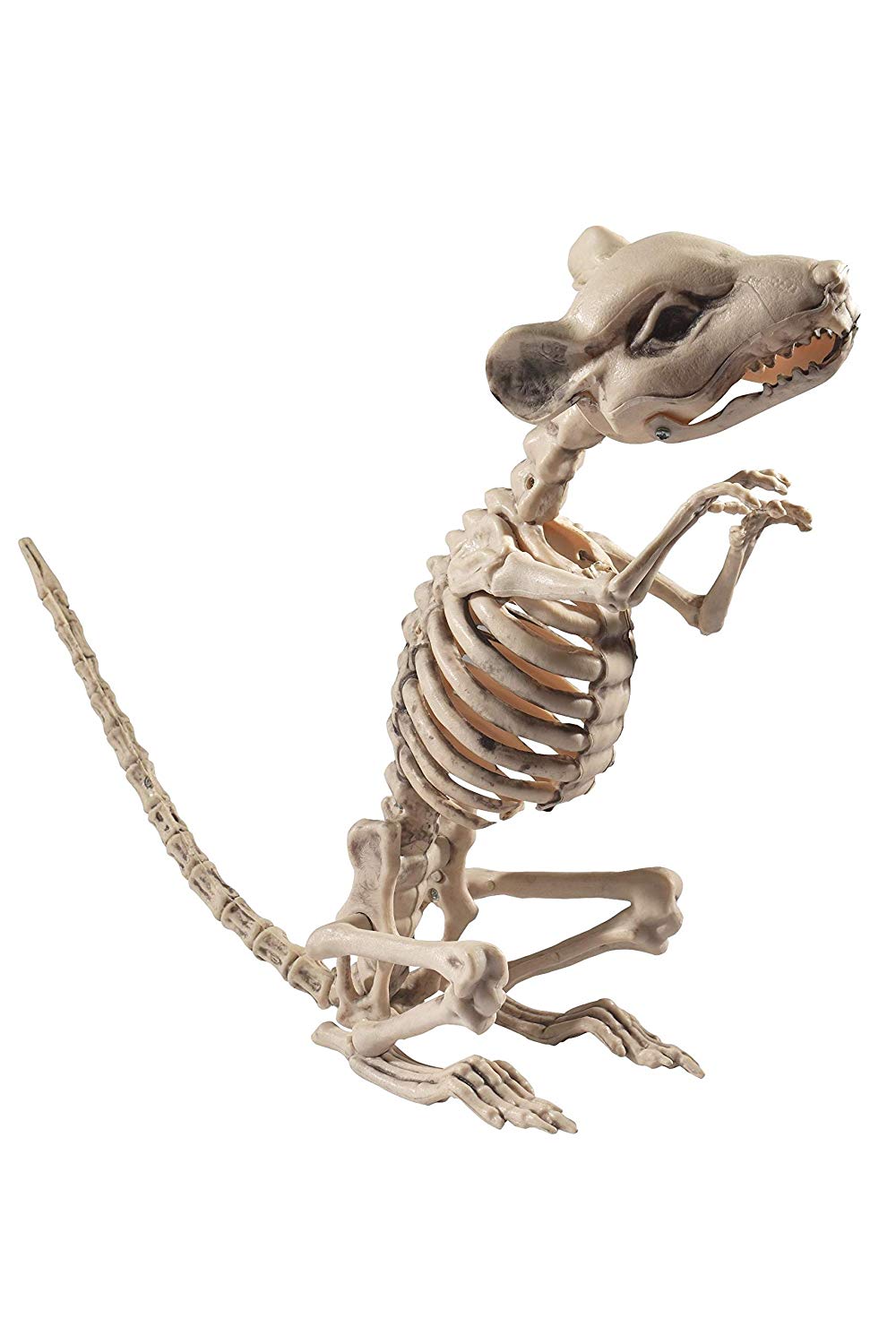 Smiffys 46908 Rat Skeleton Prop (One Size) – TopToy