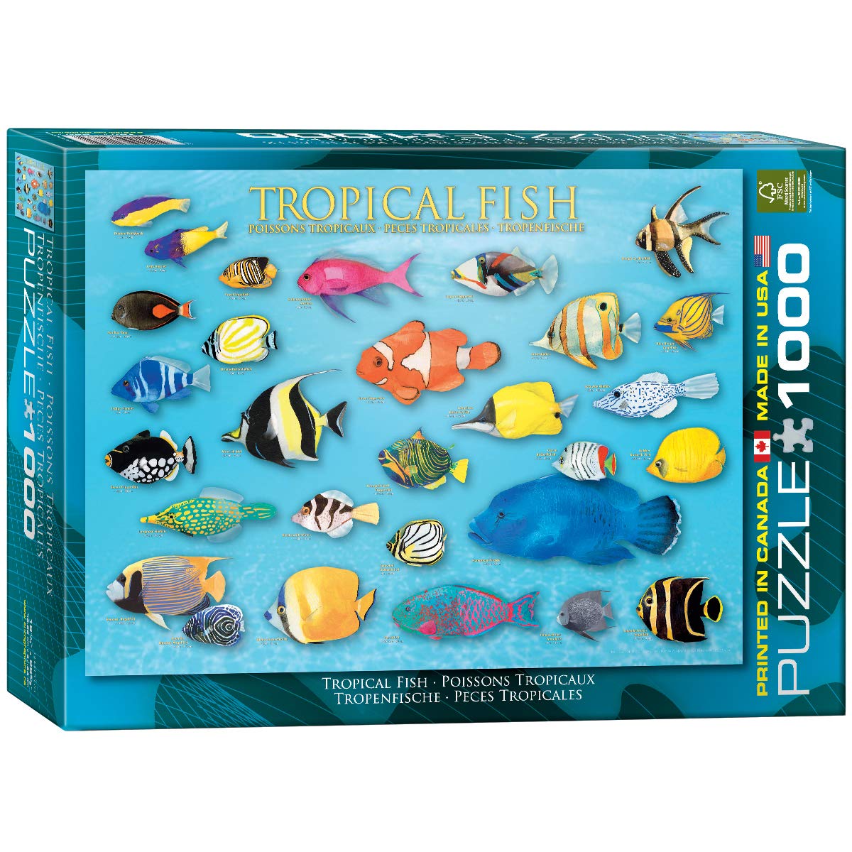 EuroGraphics Tropical Fish Puzzle (1000 Pieces) – TopToy