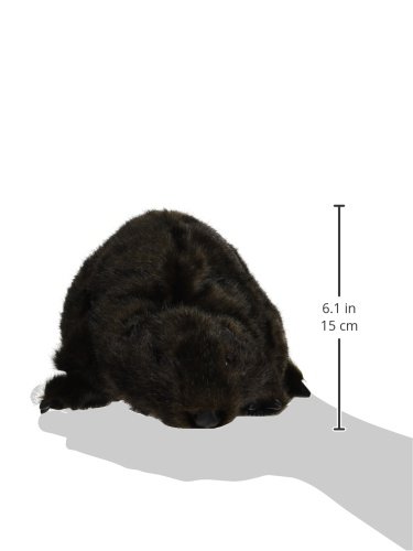 Folkmanis Beaver Hand Puppet – TopToy