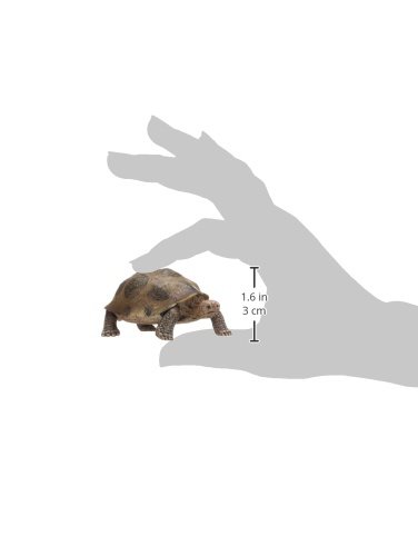 SCHLEICH 191437 14601-Wild Life Giant Tortoise – TopToy