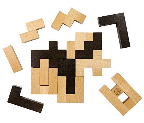 The Einstein Collection Letter Blocks – 3D brain teaser puzzles – 12 ...