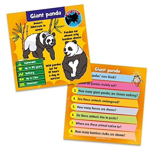 BrainBox | Animals | Card Game | Ages 8+ | 1+ Players | 10 Minutes ...