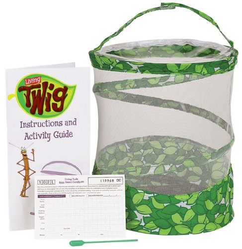 Living Twig Stick Insect Kit – TopToy