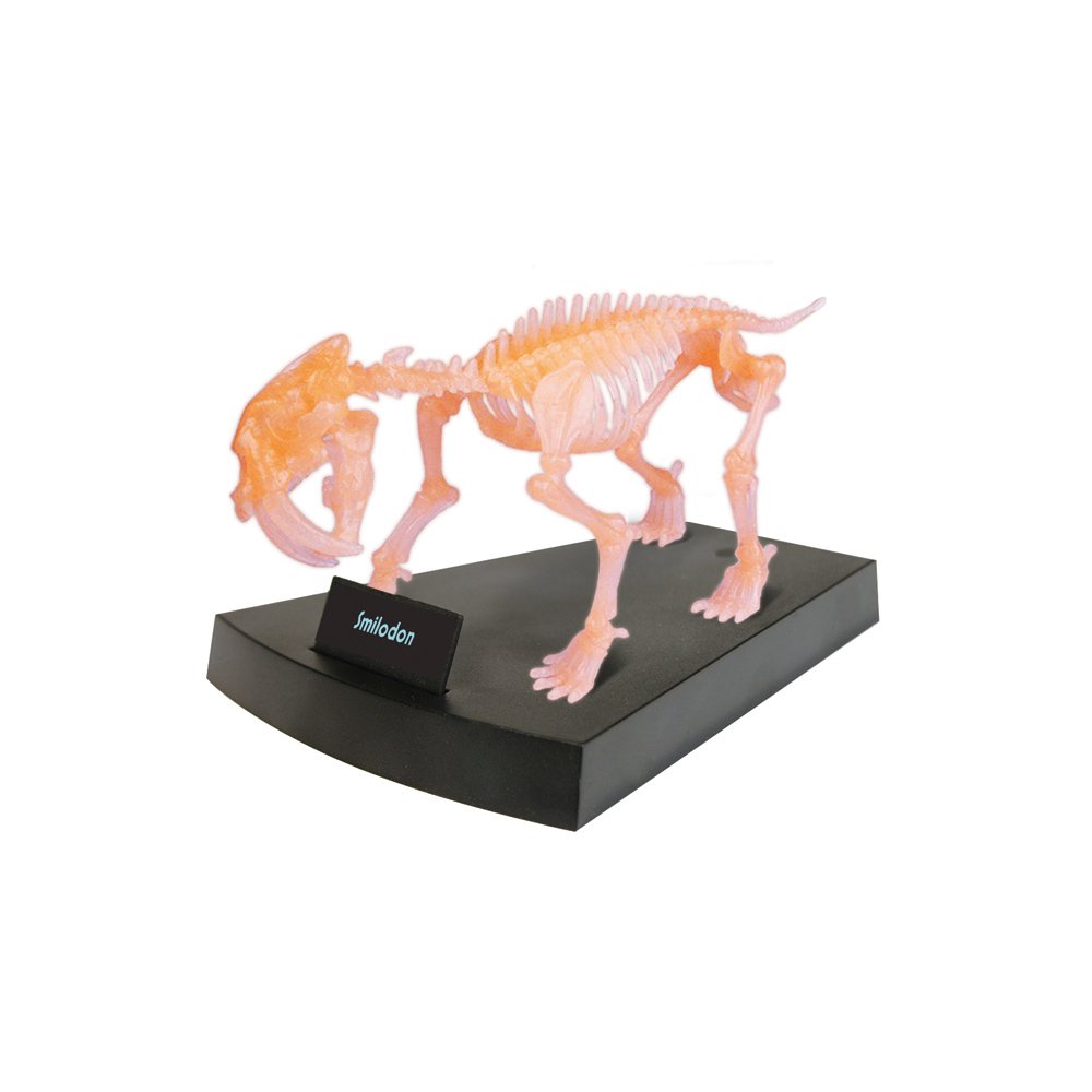 Dr. Steve Hunters cl1659 K – Ice Age Night Glow in the Dark Game ...