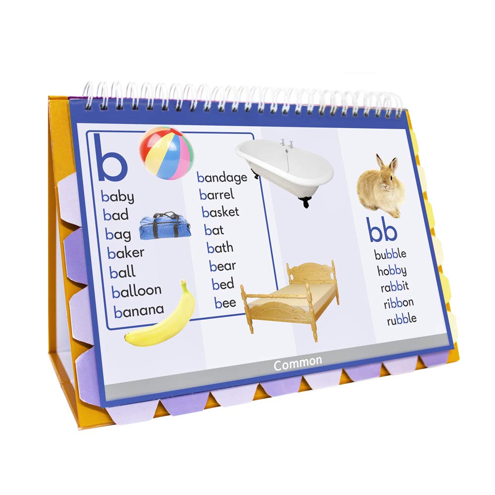 Junior Learning JL450 Educational Card – TopToy