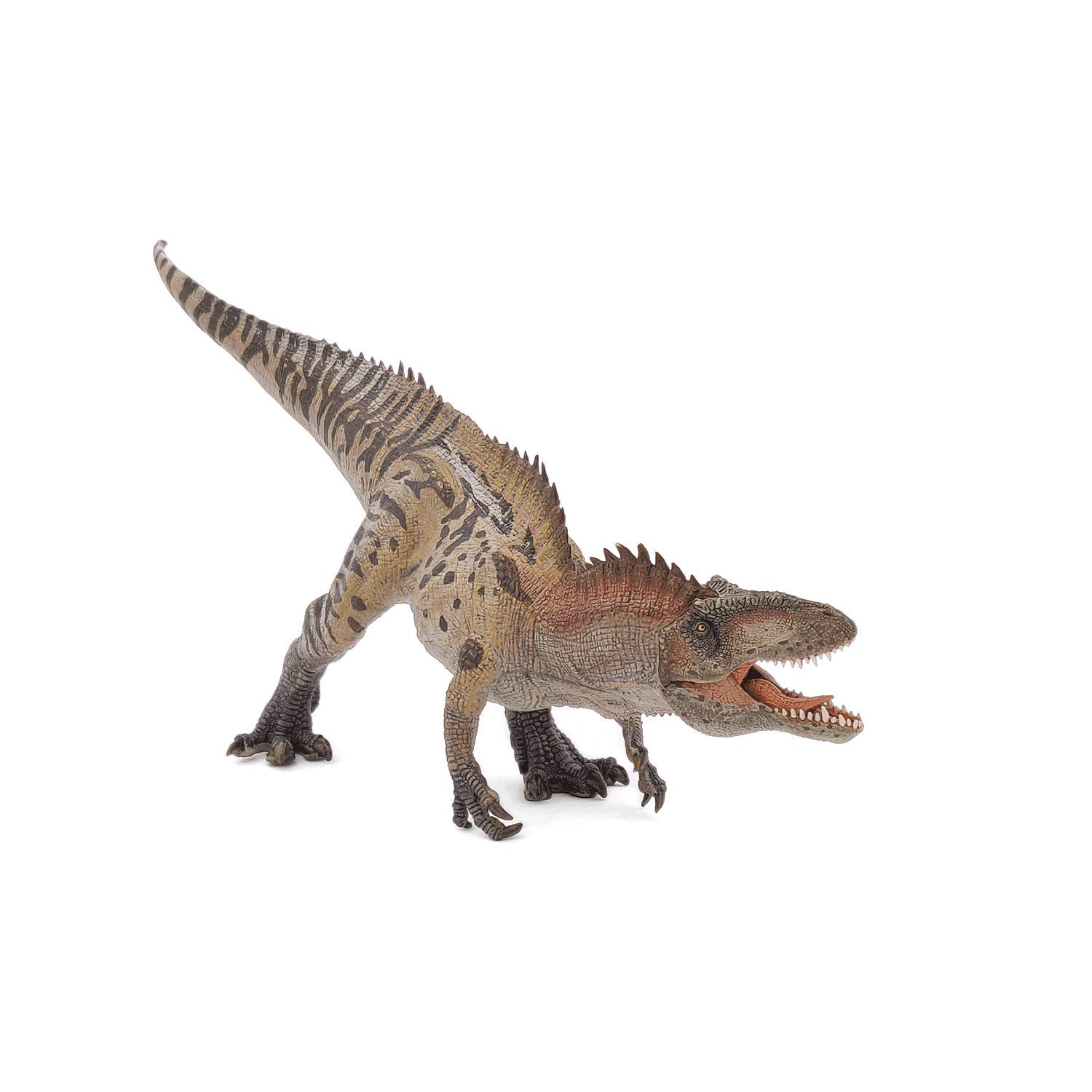 Papo 55062 Acrocanthosaurus THE DINOSAURS Figurine, multicolour – TopToy