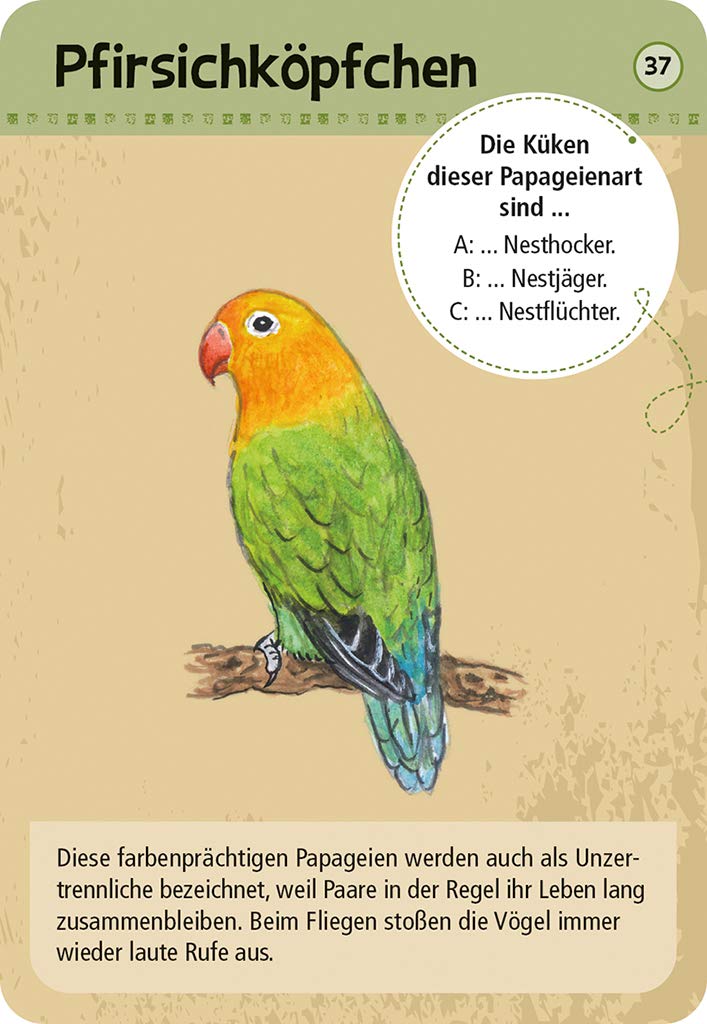 Moses 9791 Expedition Natur 50 Zoo Animals | Determination Cards in a ...