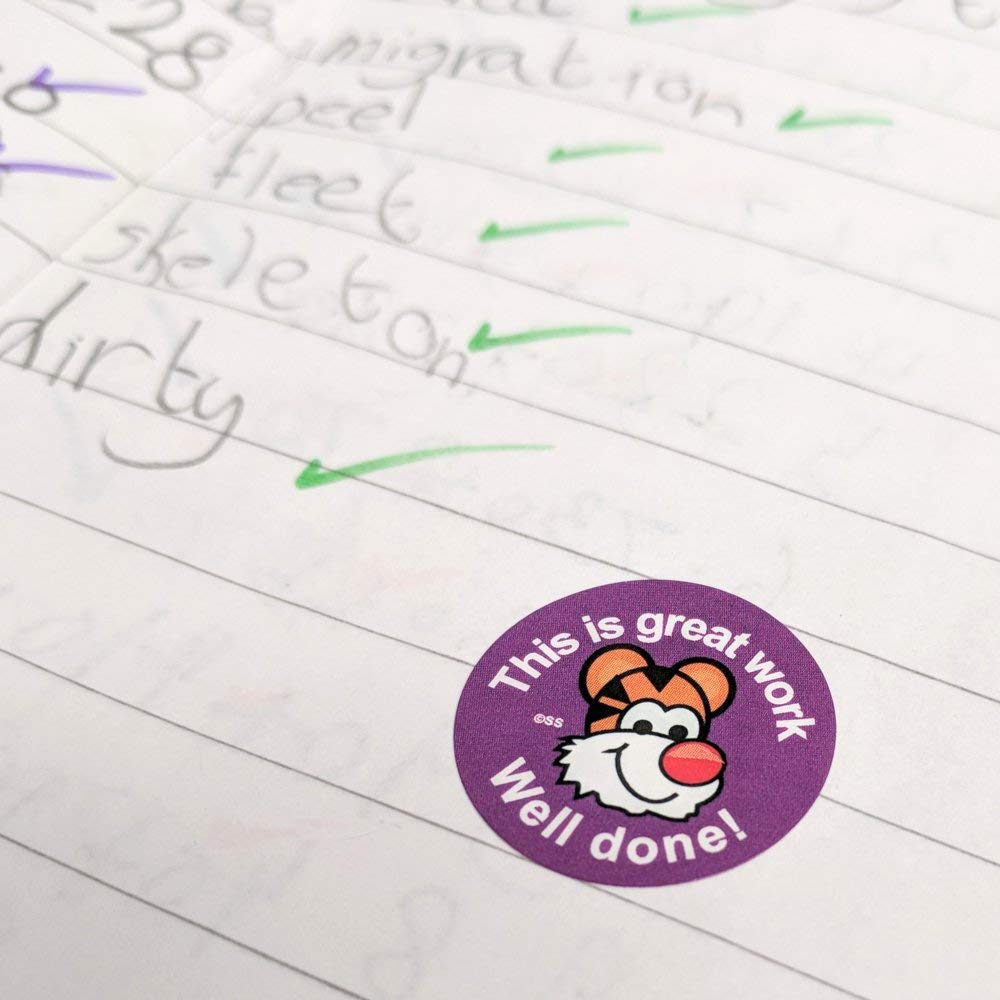 Sticker Solutions Effort and Praise Reward Stickers (Pack of 180) – TopToy