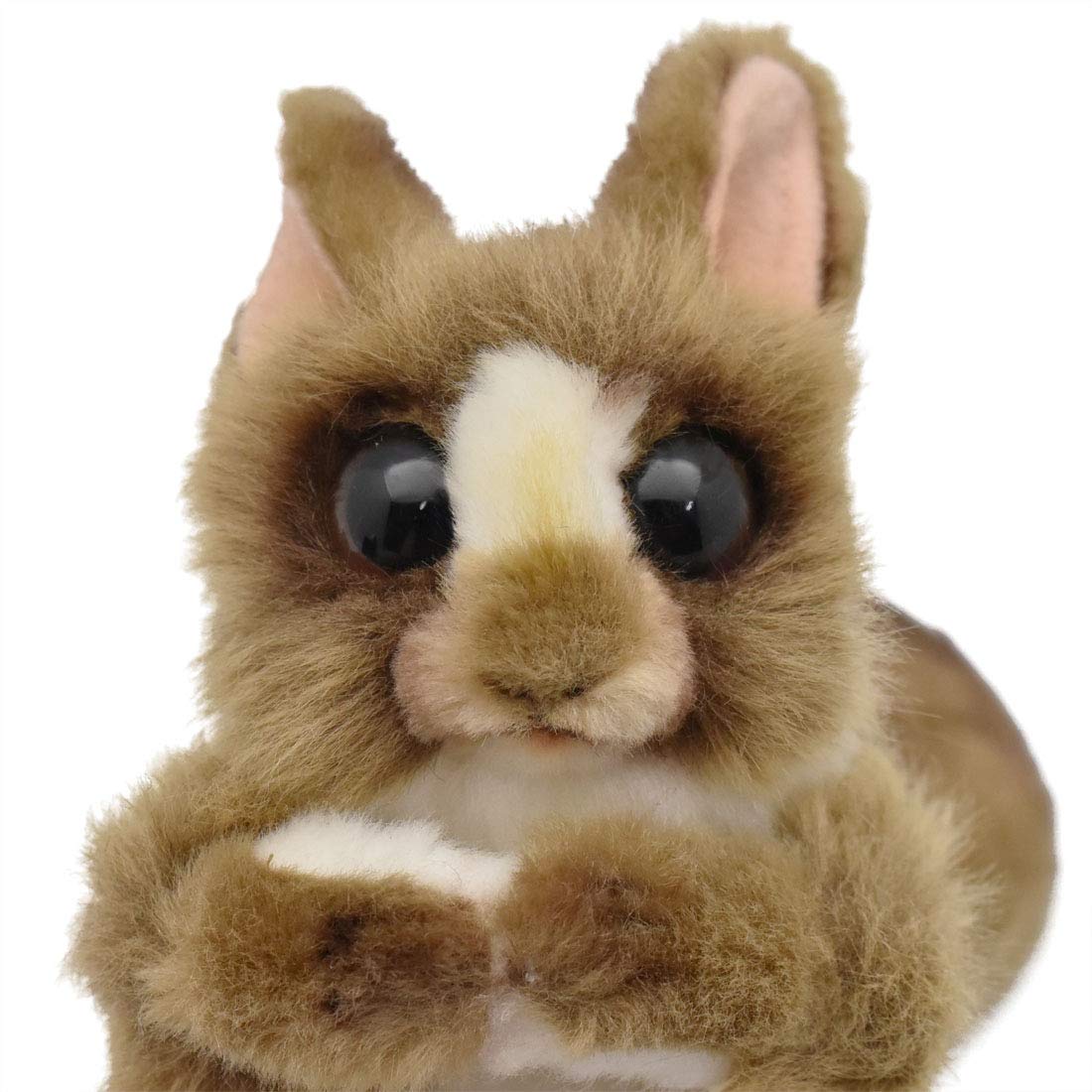 Tarsier Soft Toy (Articulated Head) 13 cm H – TopToy
