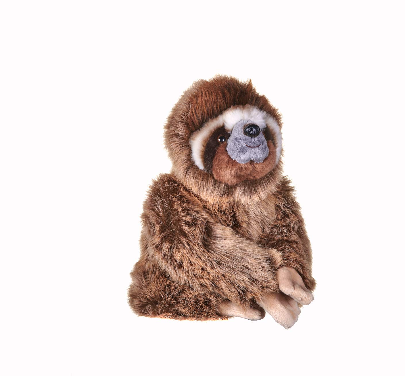 Posh Paws 12450 Sloth BBC Planet Earth, Plush Soft Toy, Brown, 25CM ...