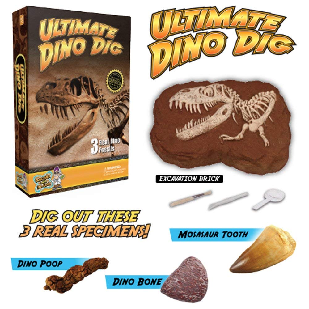 Discover with Dr. Cool Ultimate Dinosaur Science Kit-Dig Up Dino ...