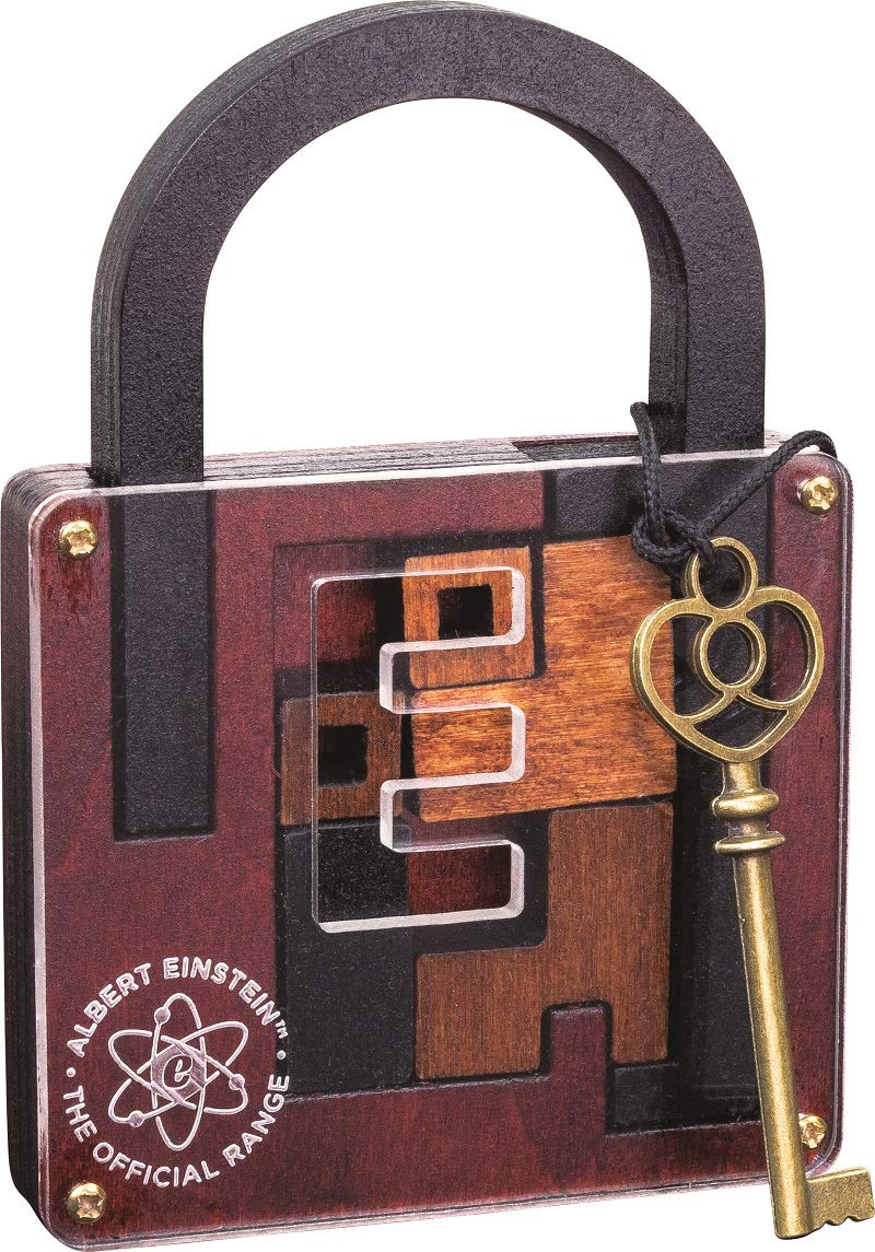 The Einstein Collection Lock Puzzle – Tricky padlock brain game – 3D ...