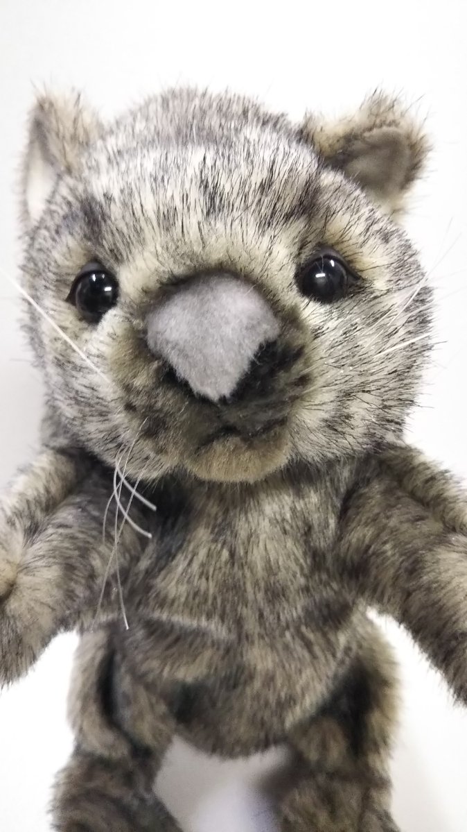 Wombat Hand Puppet – TopToy
