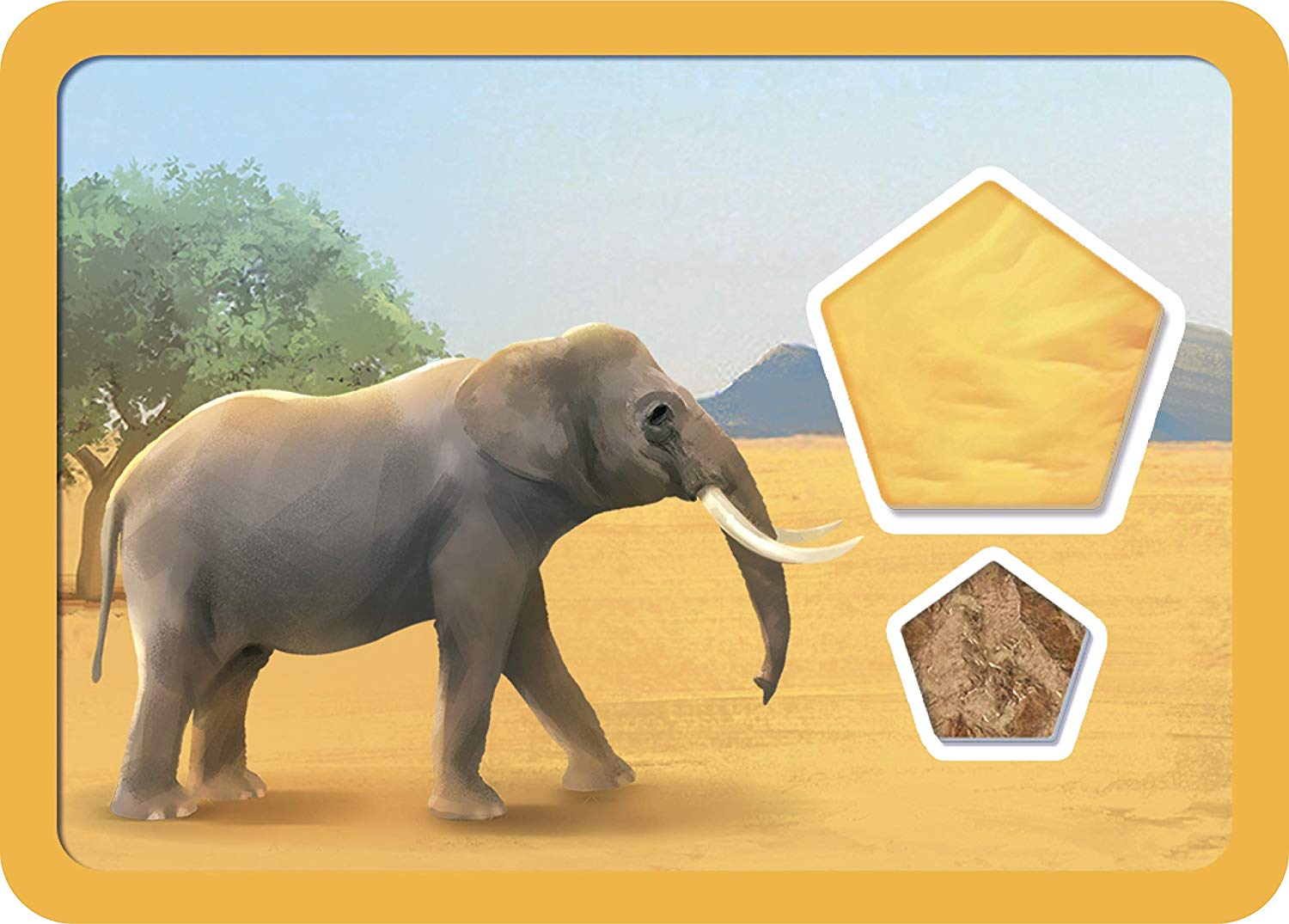 Blue Orange | Planet | Board Game | Ages 8+ | 2-4 Players | 30 Minutes ...