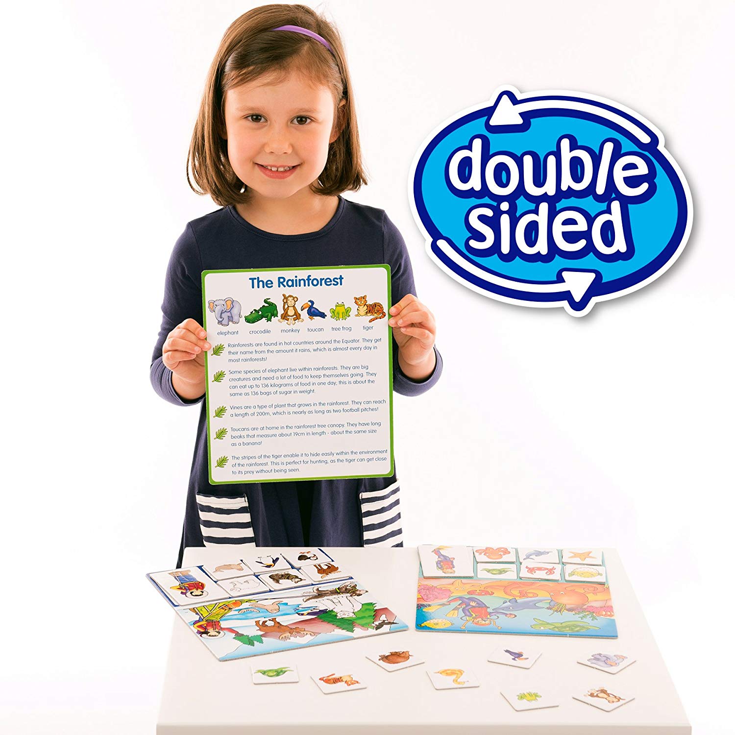 Orchard Toys Where Do I Live Game – TopToy