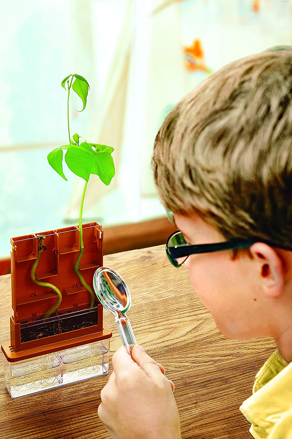 Great Gizmos Science Grow-A-Maze (Green) – TopToy