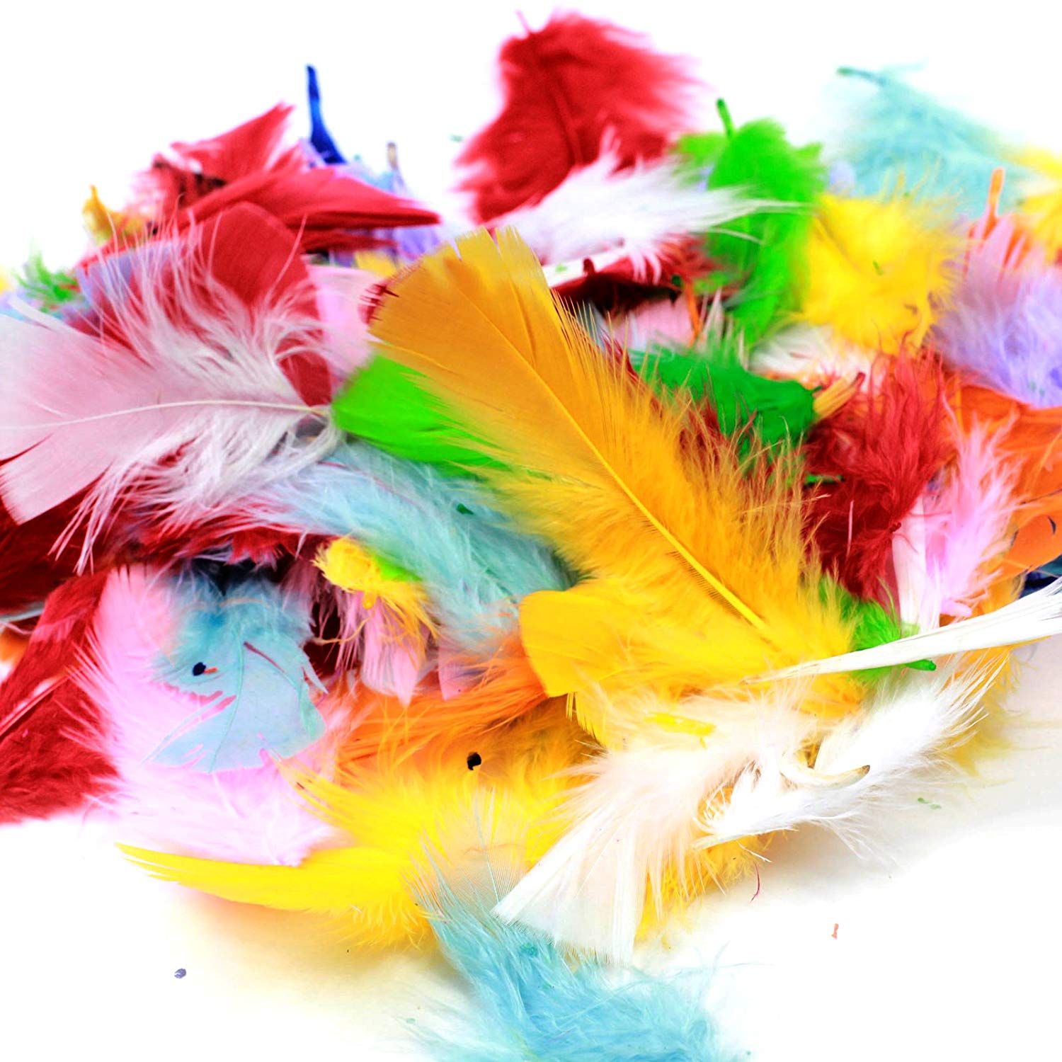 Multicolour Craft Feathers – TopToy