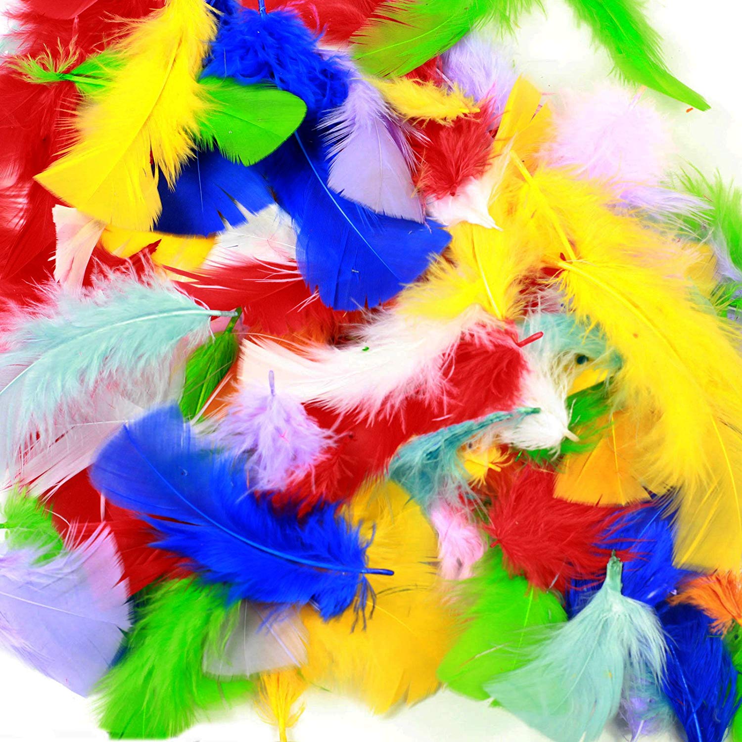 Multicolour Craft Feathers – TopToy