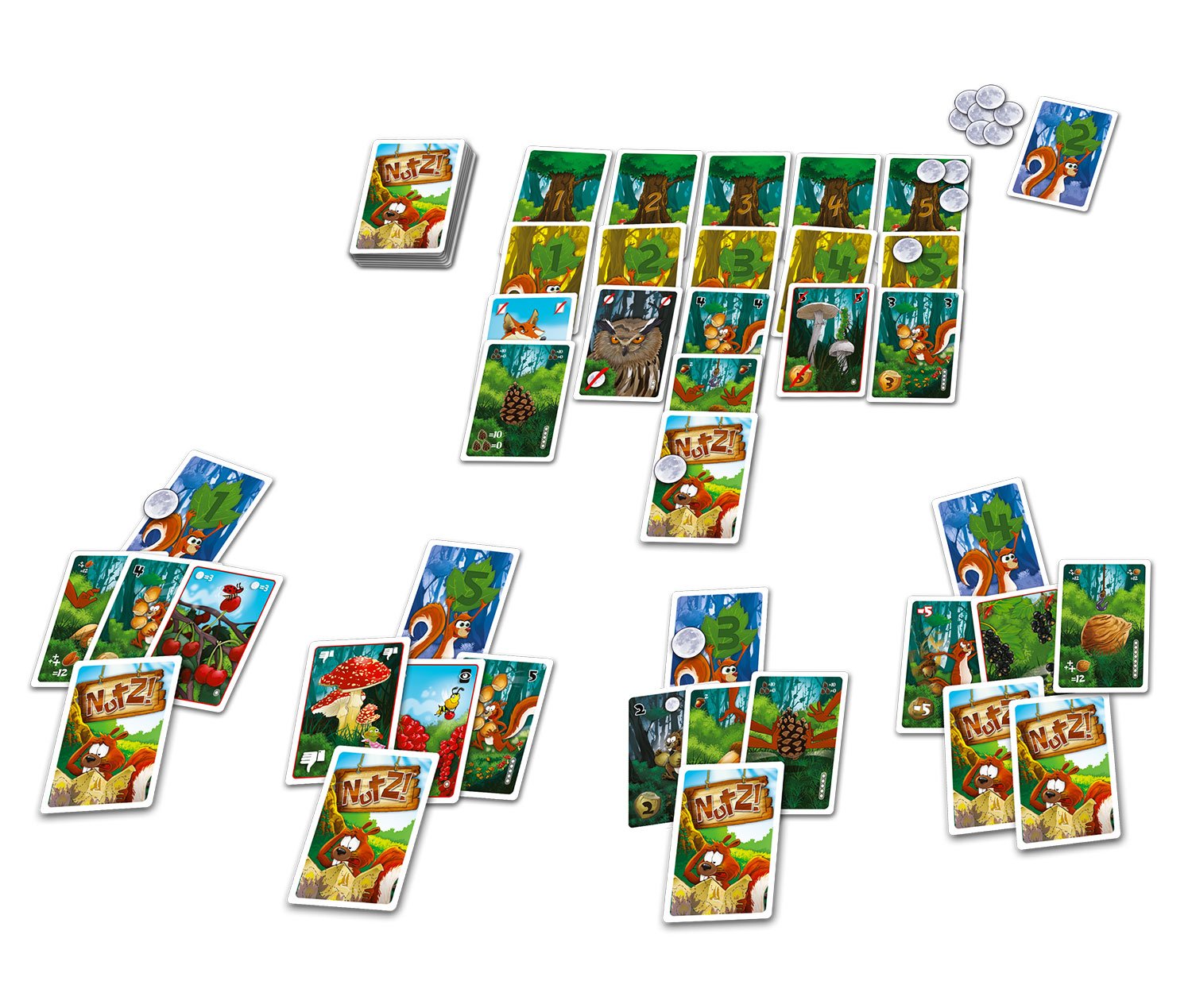 Blue Orange Nutz! Game – TopToy