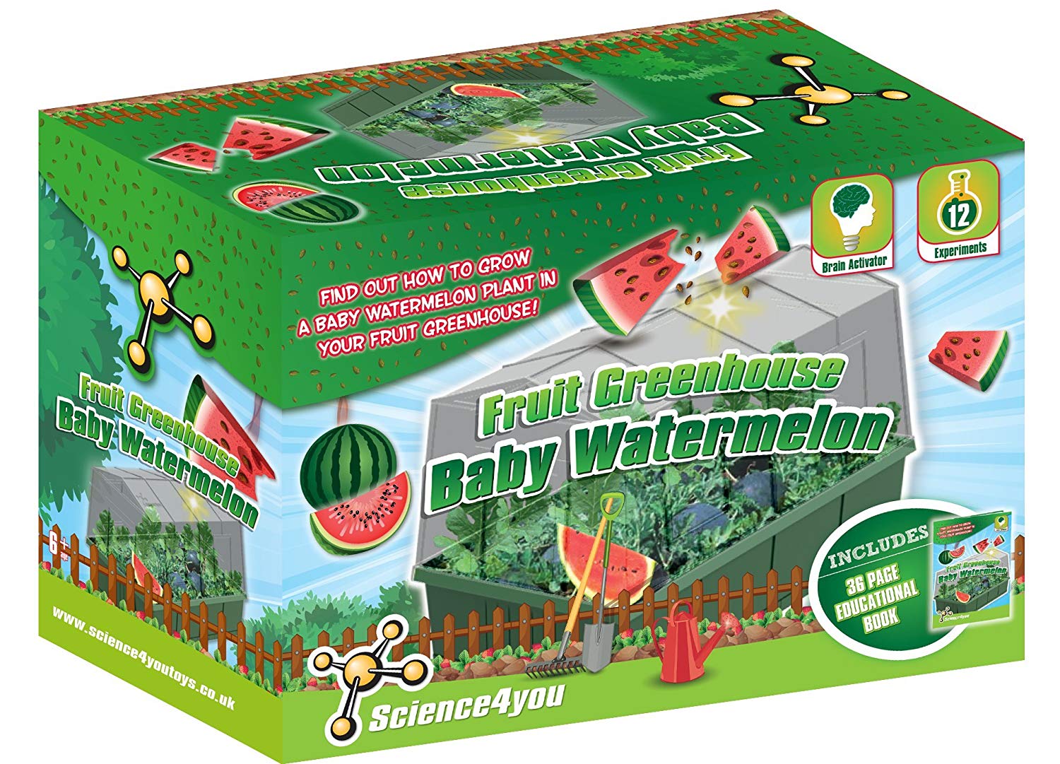 Science 4 You Fruit Greenhouse Sugar Baby Watermelons – TopToy