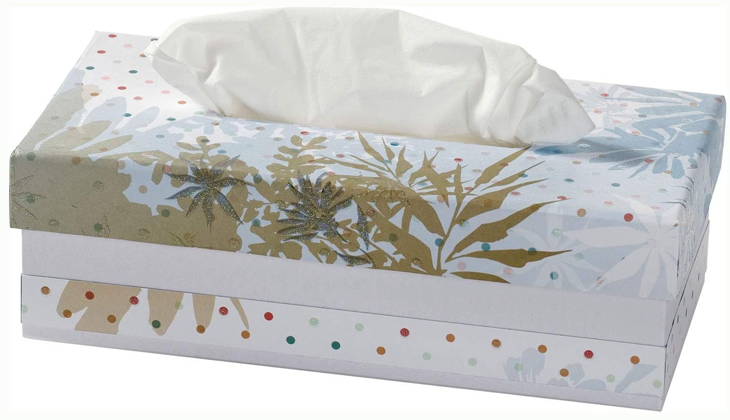 Folia 31500 Cardboard Boxes Assorted 15 Pieces White – TopToy