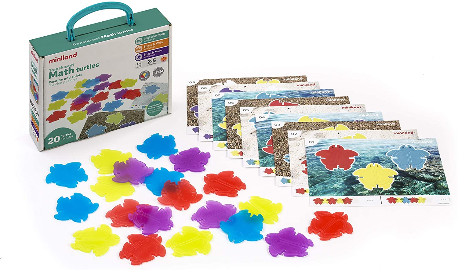Miniland 32161 Translucent Math Turtles – TopToy