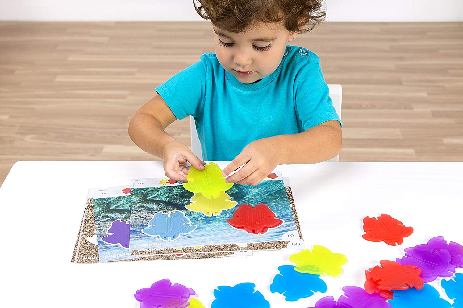 Miniland 32161 Translucent Math Turtles Toptoy