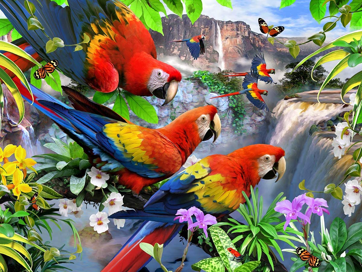 Howard Robinson K22517 Kidicraft – Flight of Macaw Traditional Jigsaw ...