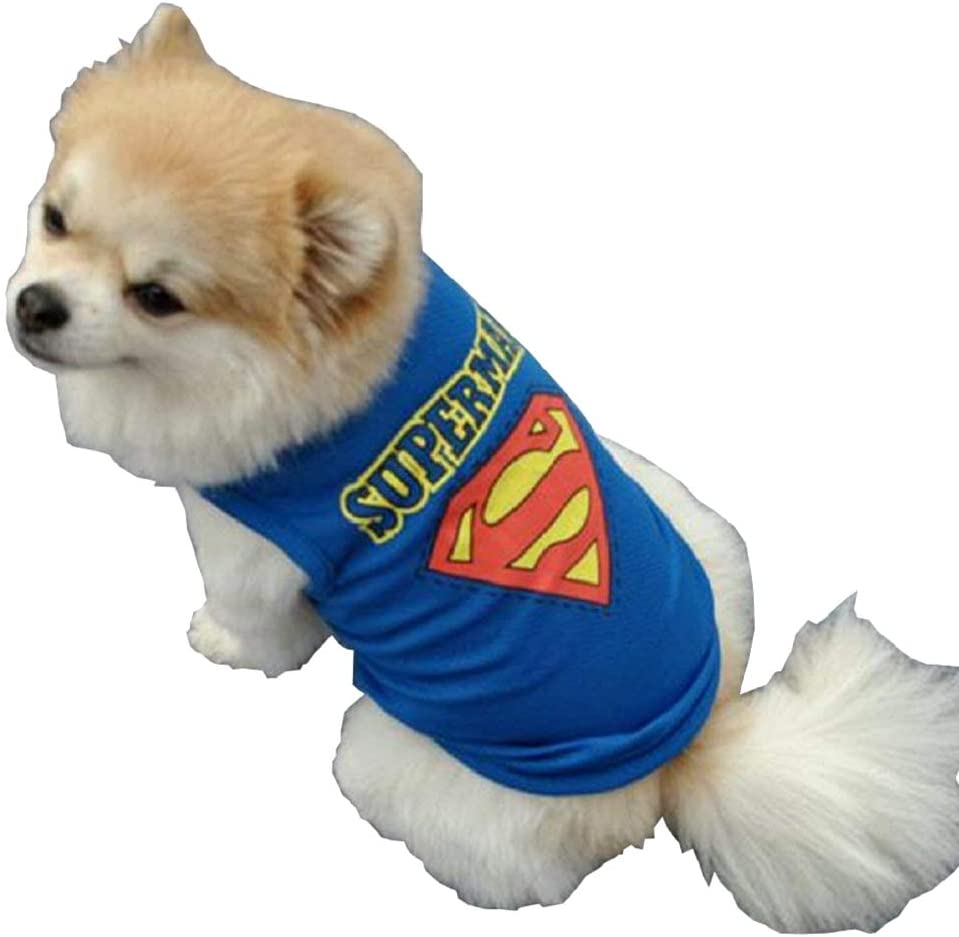 Super hero costume – superhero – steel dog – dog – s – disguises ...