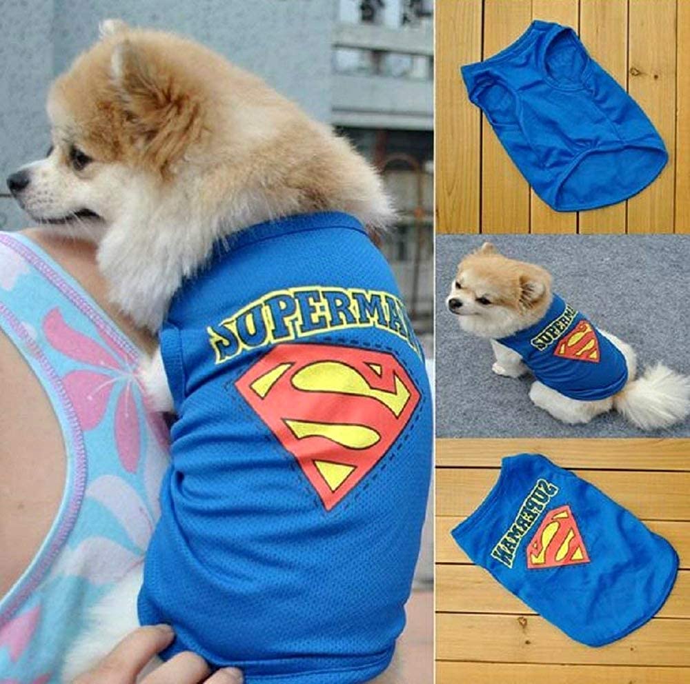 Super hero costume – superhero – steel dog – dog – s – disguises ...