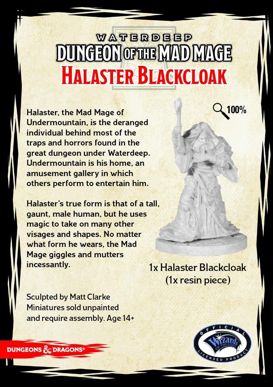 Gale Force Nine D&D: Dungeon of the Mad Mage: Halaster Blackcloak 71075 ...
