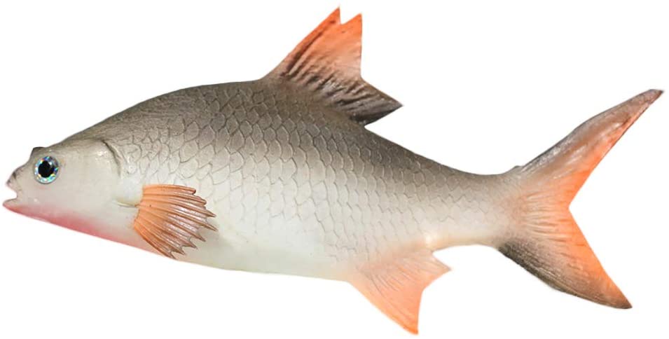 Toyvian Artificial Simulation Fake Fish Realistic Carp Model Fish Kids ...