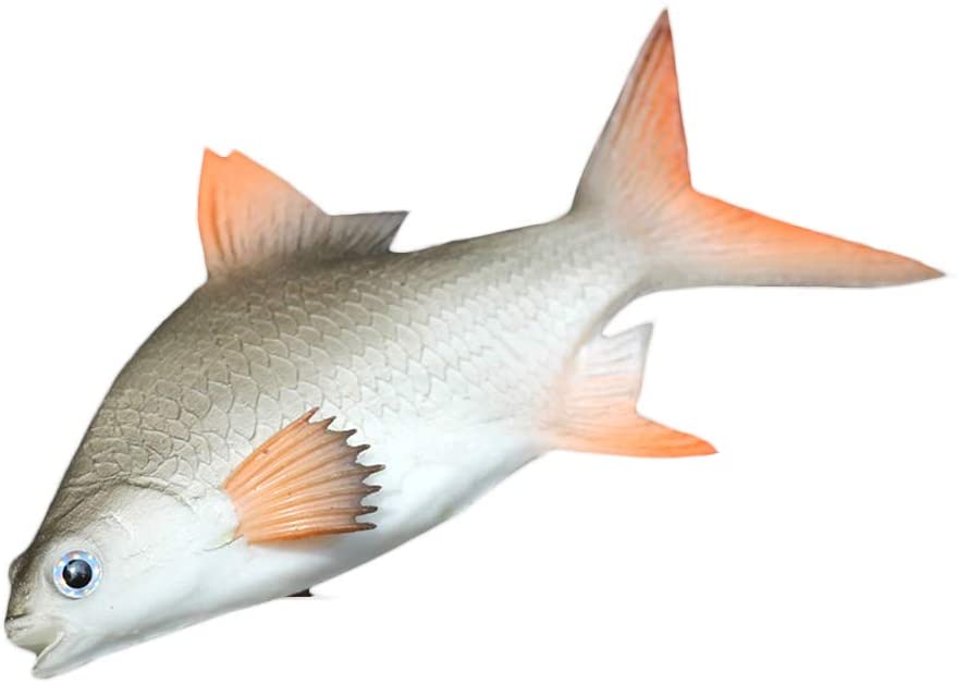 Toyvian Artificial Simulation Fake Fish Realistic Carp Model Fish Kids ...