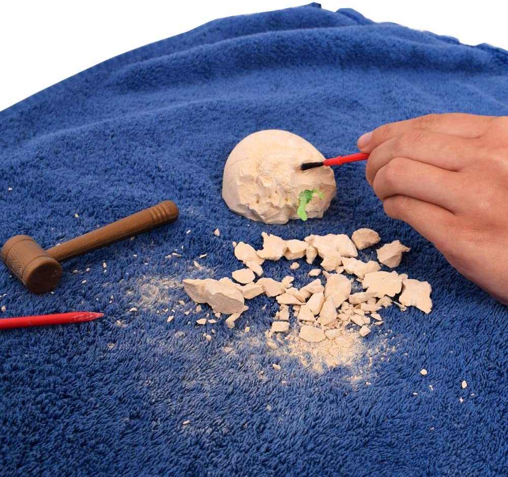 TE-Trend 2 Piece Fossils Archeology Excavation Set Dinosaur Excavation ...