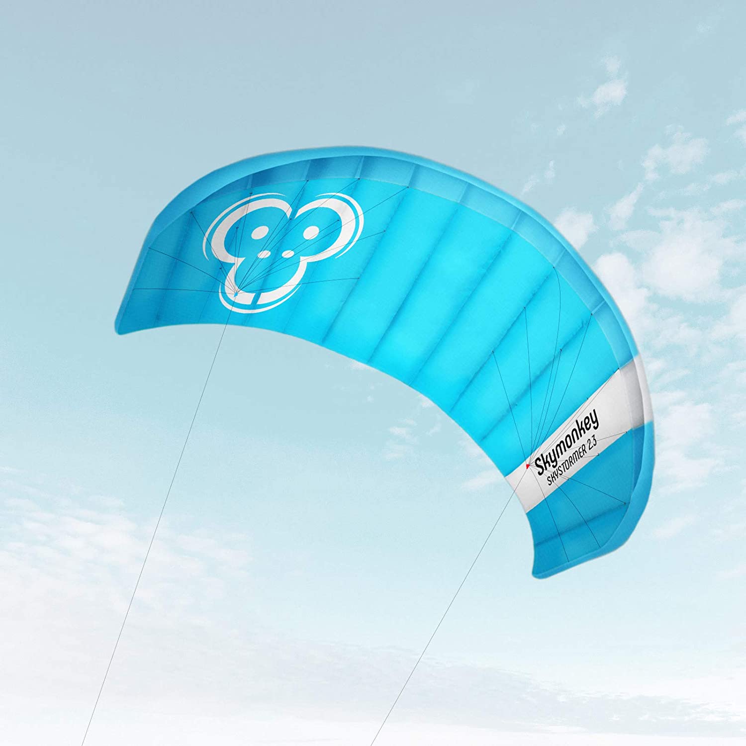 Skymonkey Skystormer Parafoil Kite/Dual Line Stunt Kite (incl. Control Bar) Ready 2 Fly – 180 cm ...