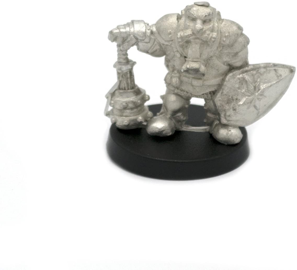 Stonehaven Dwarf Paladin Miniature Figure for 28mm Table top Wargames ...