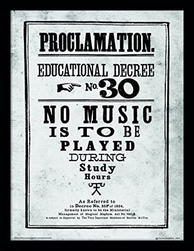 Harry Potter “Proclamation” Framed Print, 30 x 40 cm – TopToy