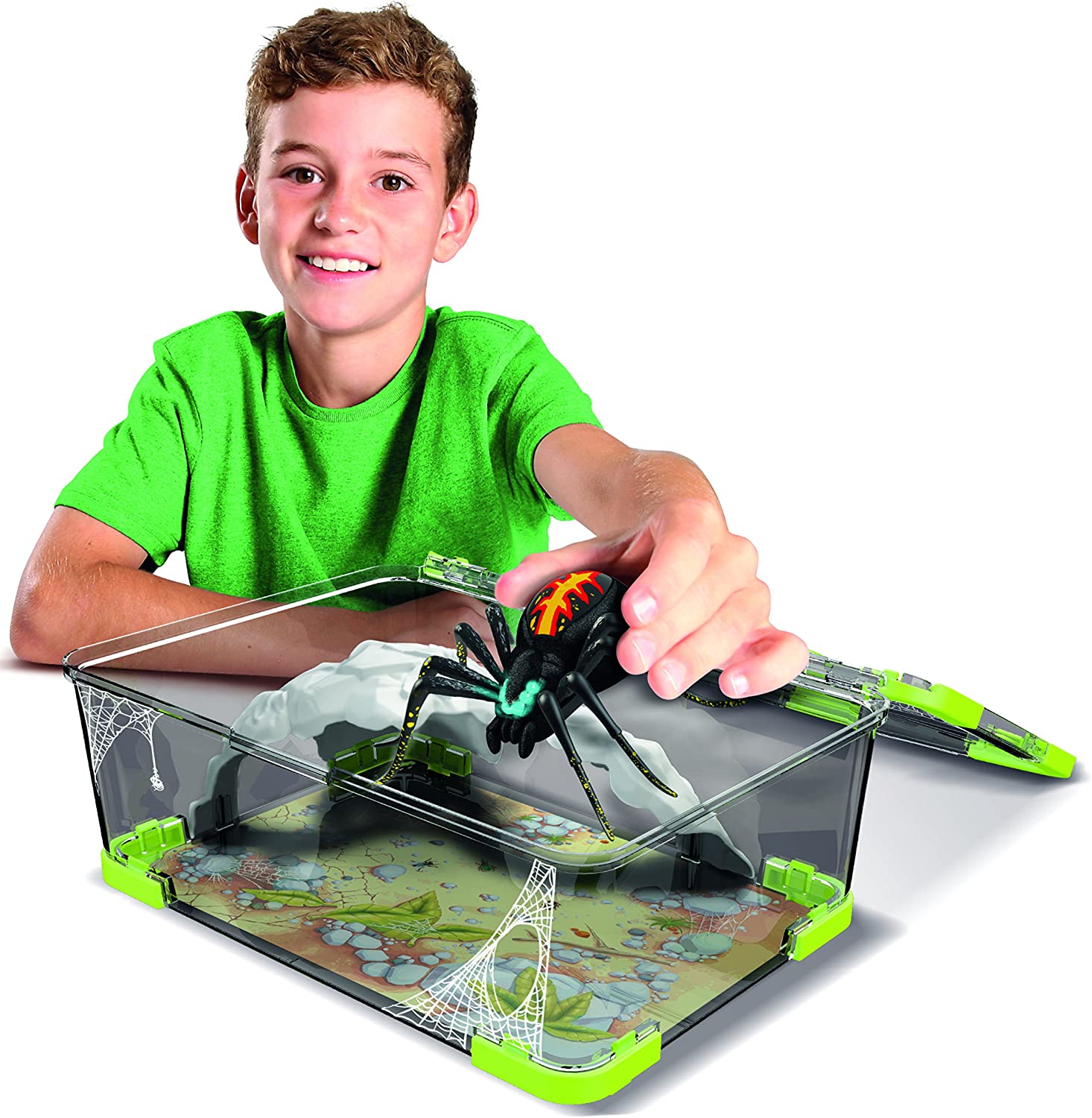 Wild Pets Spider Habitat Playset – TopToy