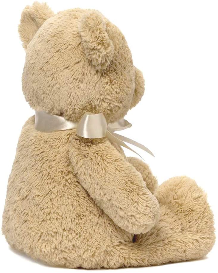 Gund My 1st Teddy (Medium Tan) – TopToy