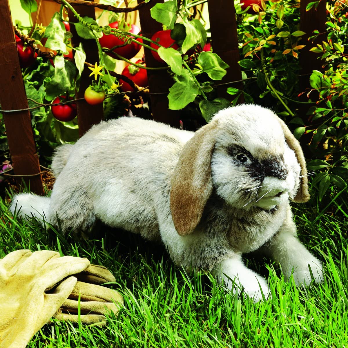 Folkmanis Holland Lop Rabbit Hand Puppet – TopToy