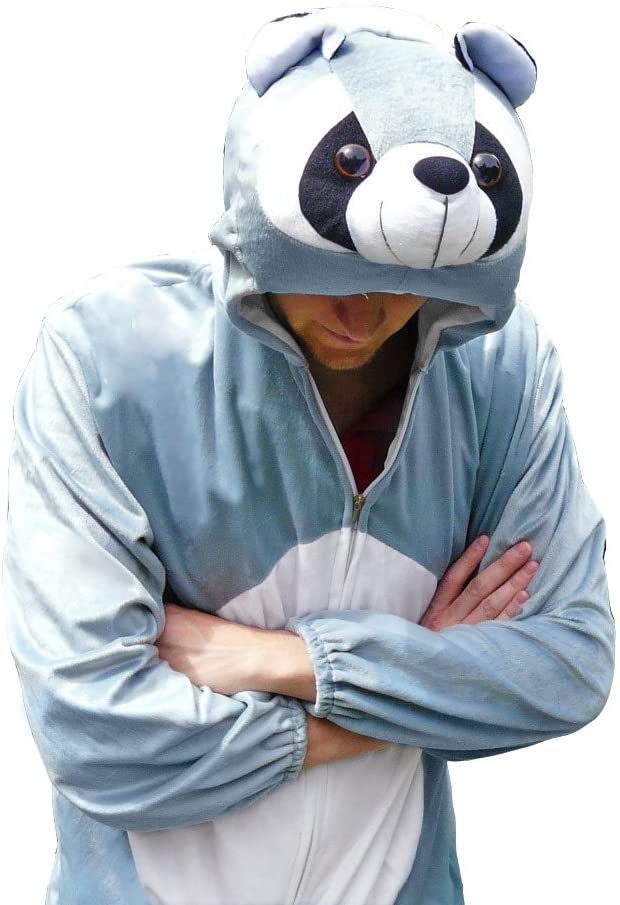 Raccoon costume, J21. carnival costume – TopToy
