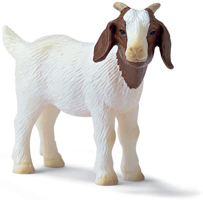 Schleich – Boer Kid (Goat) – TopToy